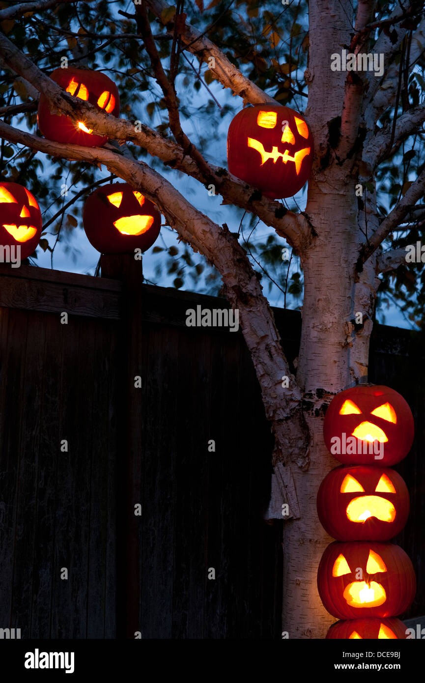 Climbing over pumpkins hi-res stock photography and images - Alamy
