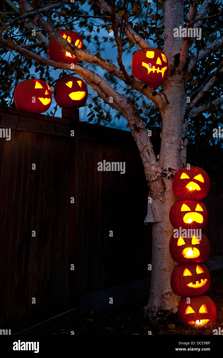 Climbing over pumpkins hi-res stock photography and images - Alamy