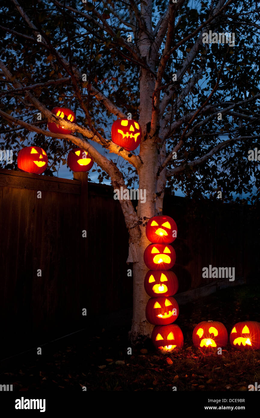 Climbing over pumpkins hi-res stock photography and images - Alamy