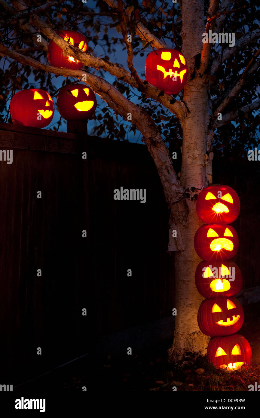 Climbing over pumpkins hi-res stock photography and images - Alamy