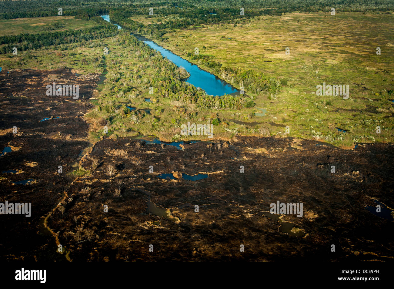 Avery island louisiana aerial hi-res stock photography and images - Alamy