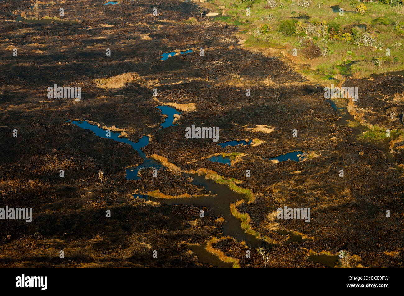 Avery island plantation hi-res stock photography and images - Alamy