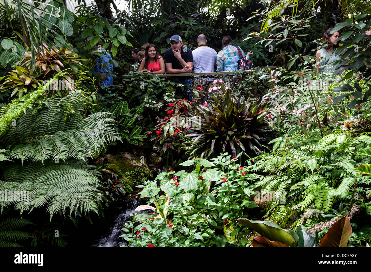 Men boy people hi-res stock photography and images - Alamy