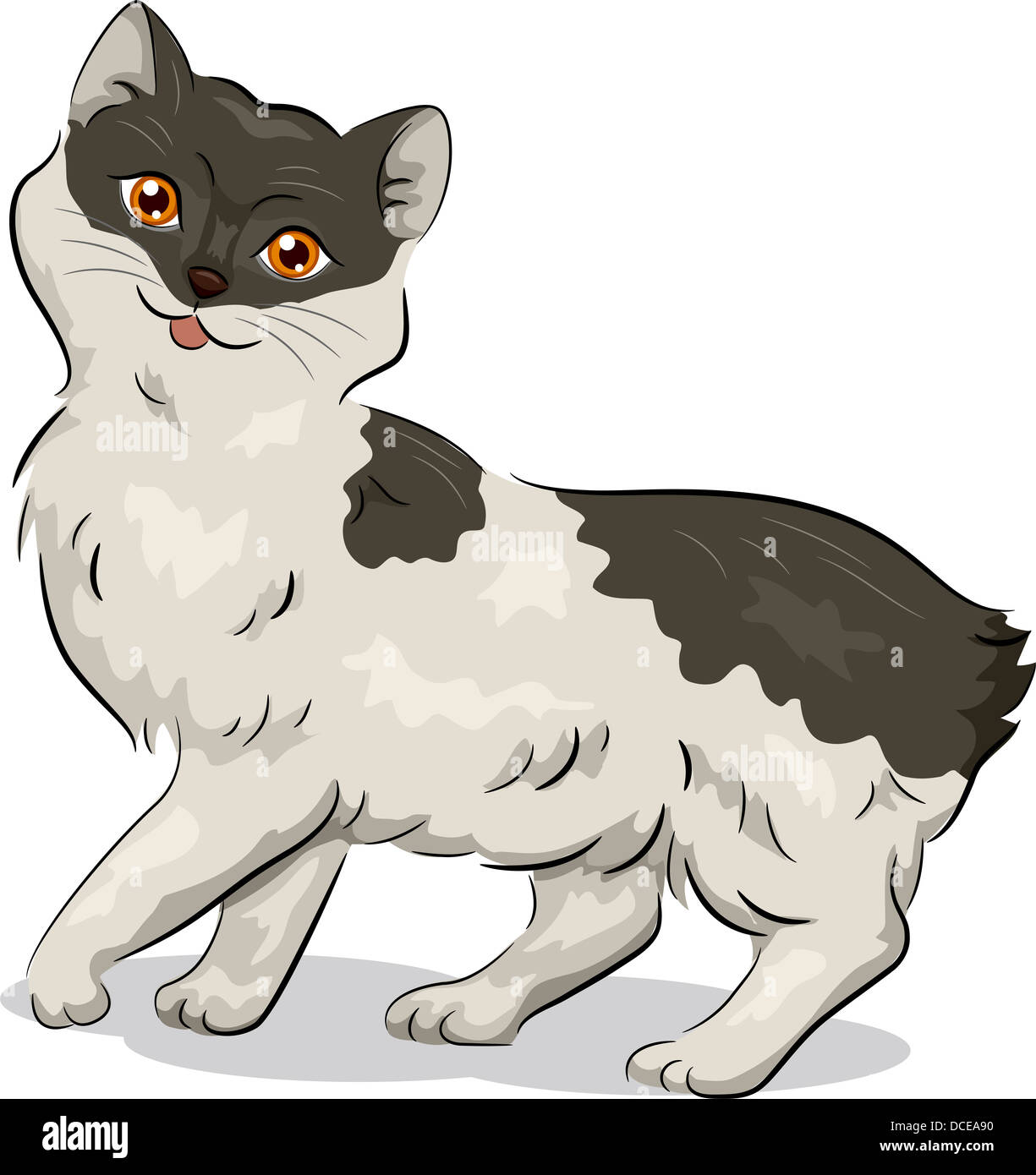 Illustration of a Manx Cat Stock Photo - Alamy