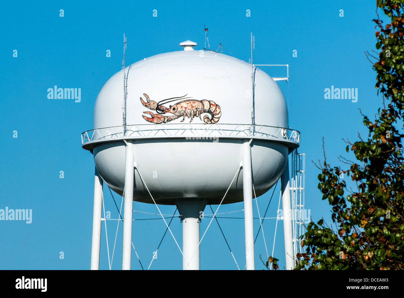 Louisiana crayfish hi-res stock photography and images - Alamy