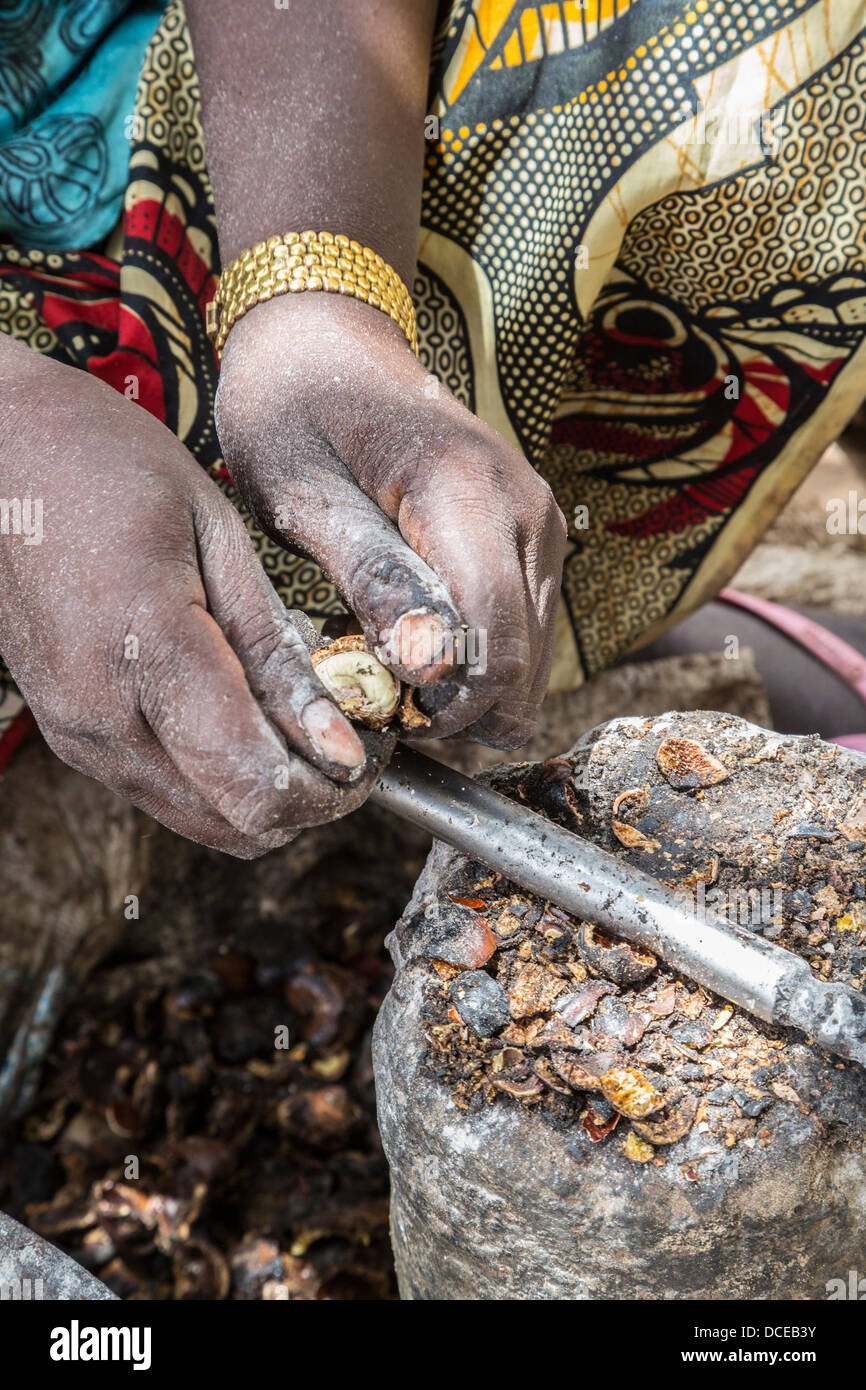 Senegal cashew nuts hi-res stock photography and images - Alamy
