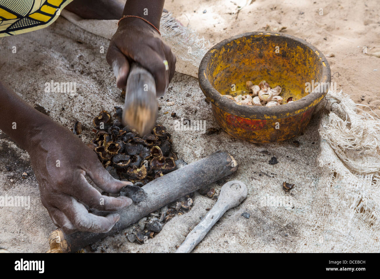 Senegal cashew nut hi-res stock photography and images - Alamy