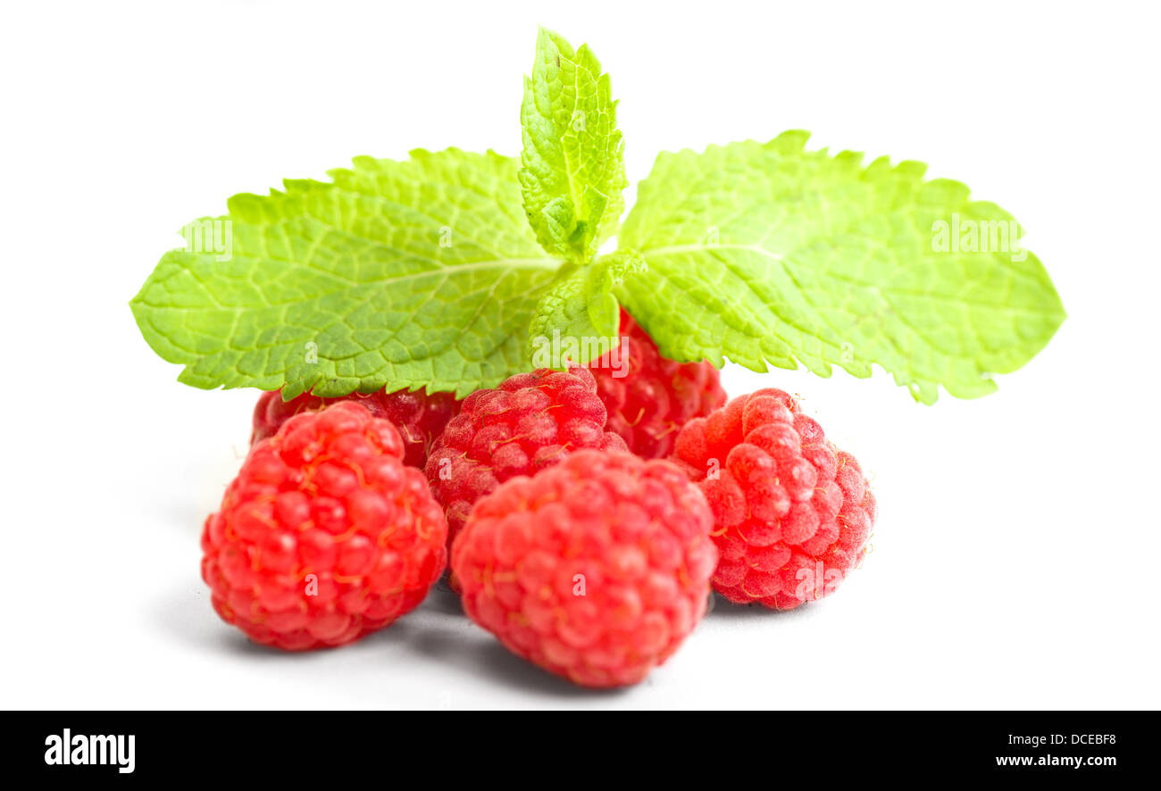 ripe red raspberry with mint leaves isolated on white background Stock ...