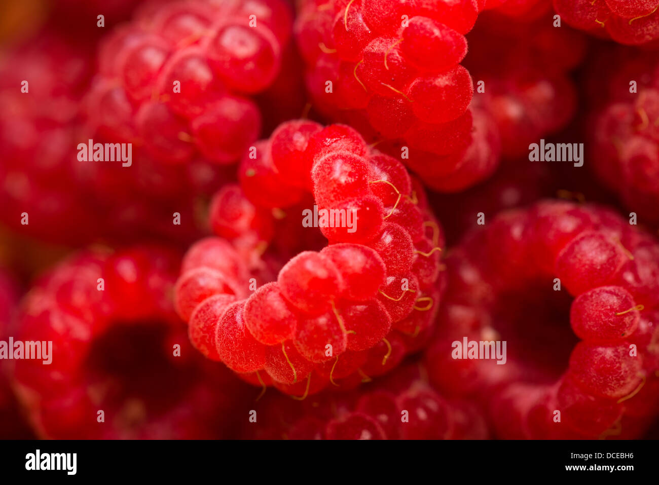 Raspberry fruit background Stock Photo - Alamy