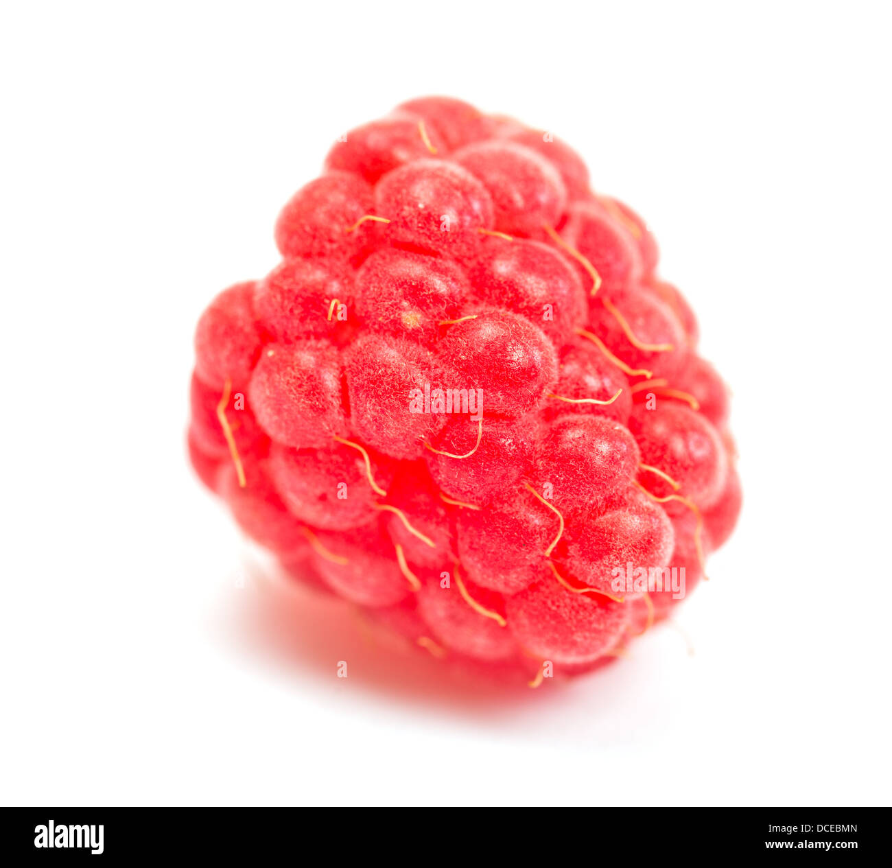 one ripe red raspberry isolated on white background Stock Photo - Alamy