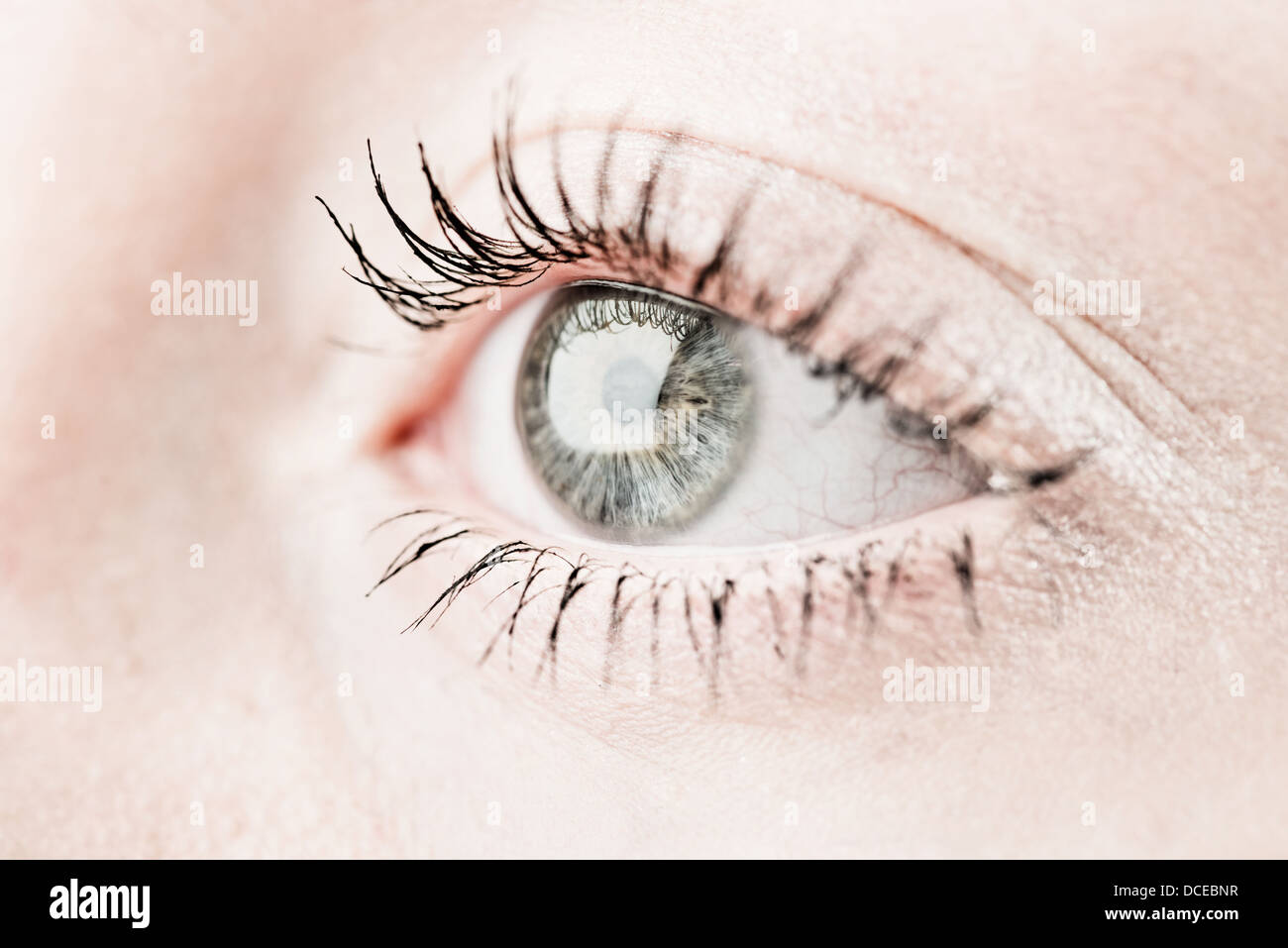 Grey human eye. macro shooting Stock Photo - Alamy