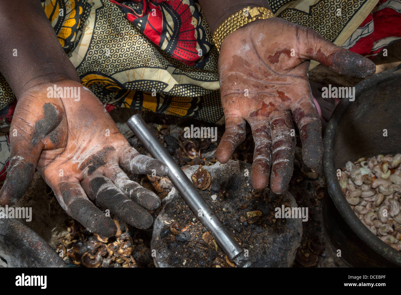 Nut not still not food not fruits hi-res stock photography and images ...