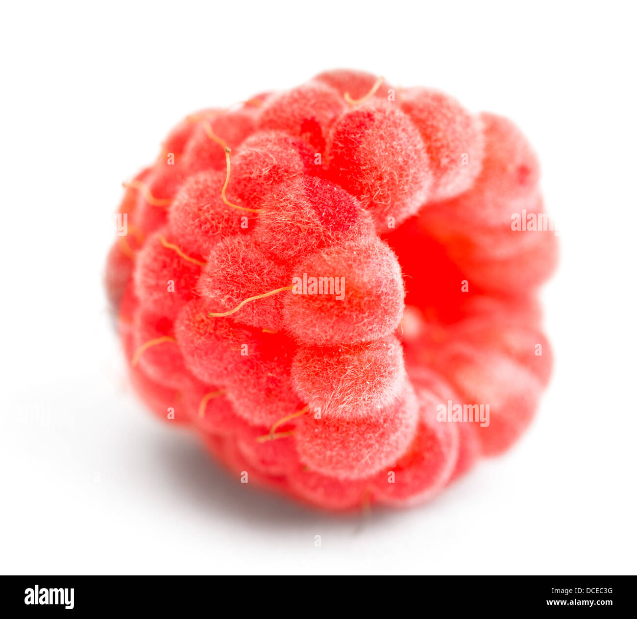 one ripe red raspberry isolated on white background Stock Photo - Alamy