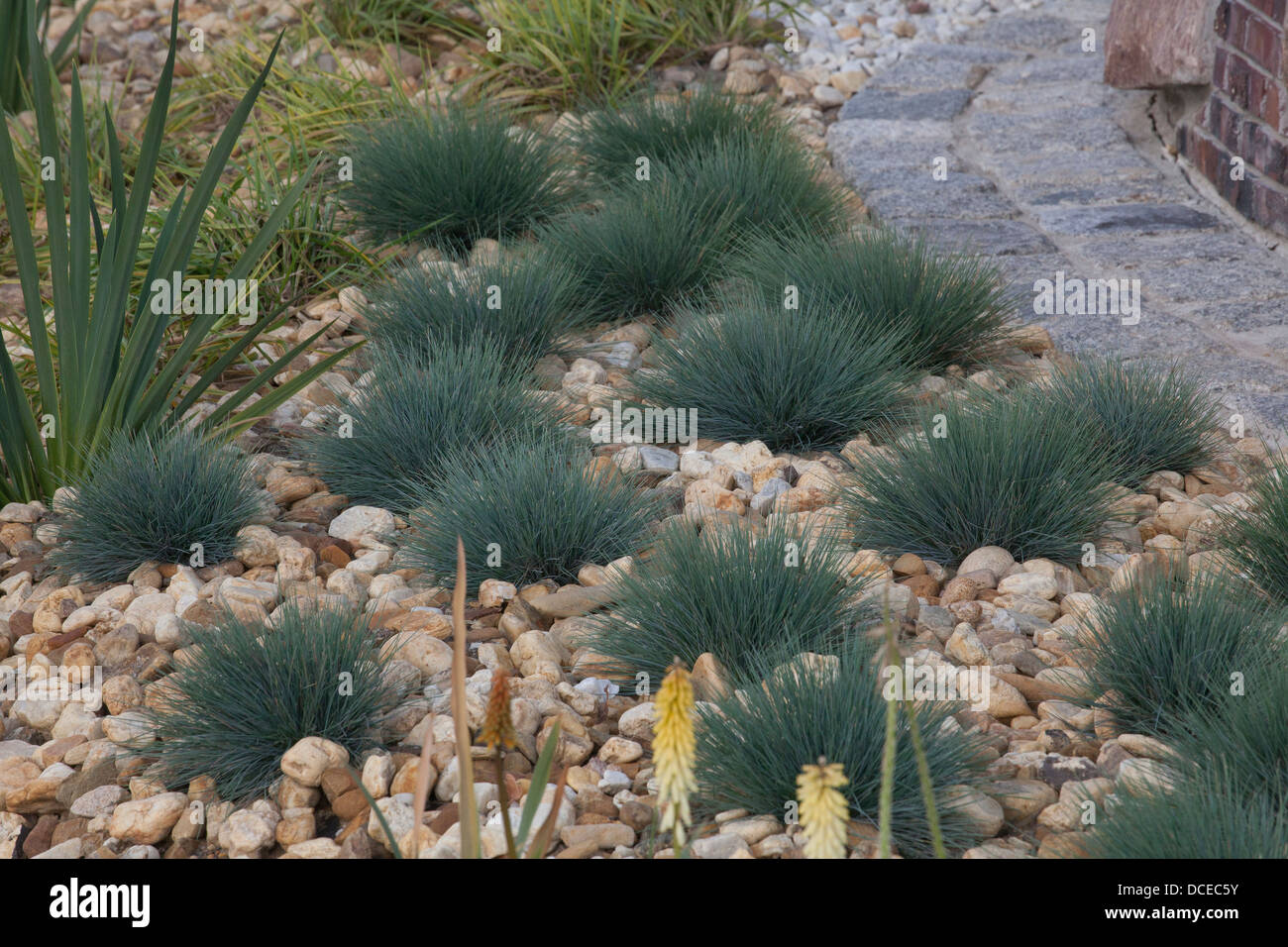 Grass flower bed Stock Photo - Alamy