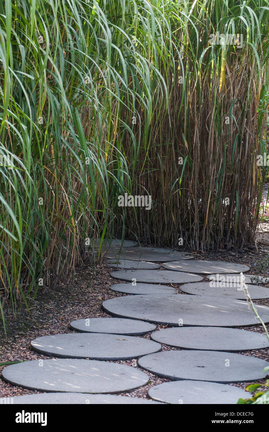 Path made from oval plate Stock Photo - Alamy