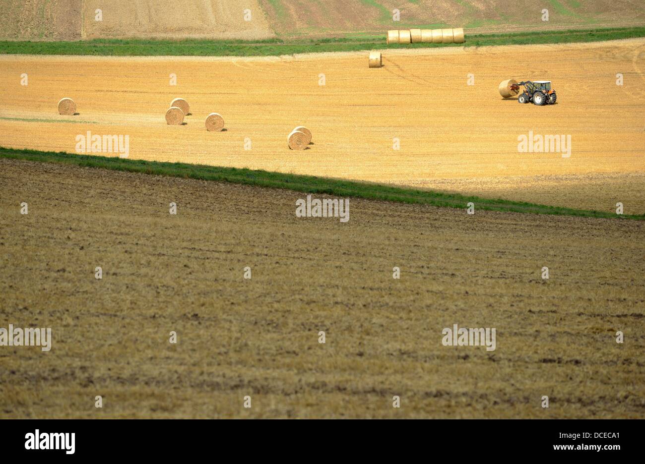 Bales straw laying on field hi-res stock photography and images - Alamy