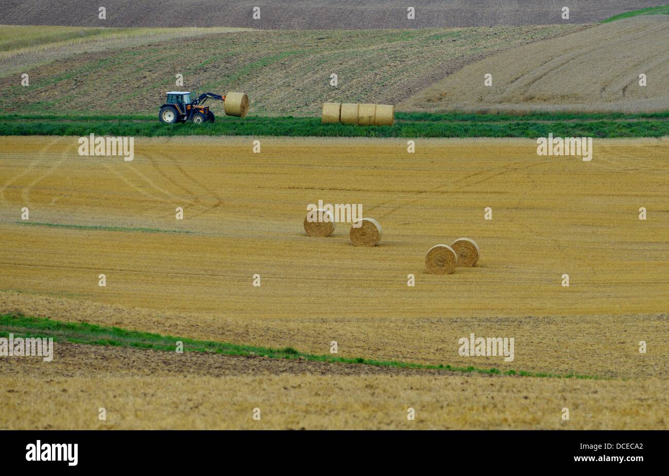 Bales of straw laying on a field in Germany. Photo: Frank May Stock ...