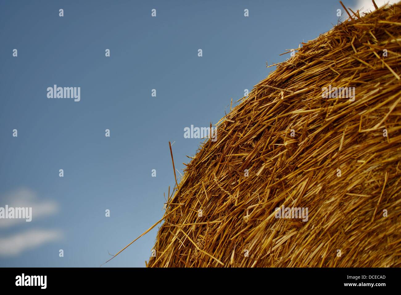 Bales straw laying on field hi-res stock photography and images - Alamy