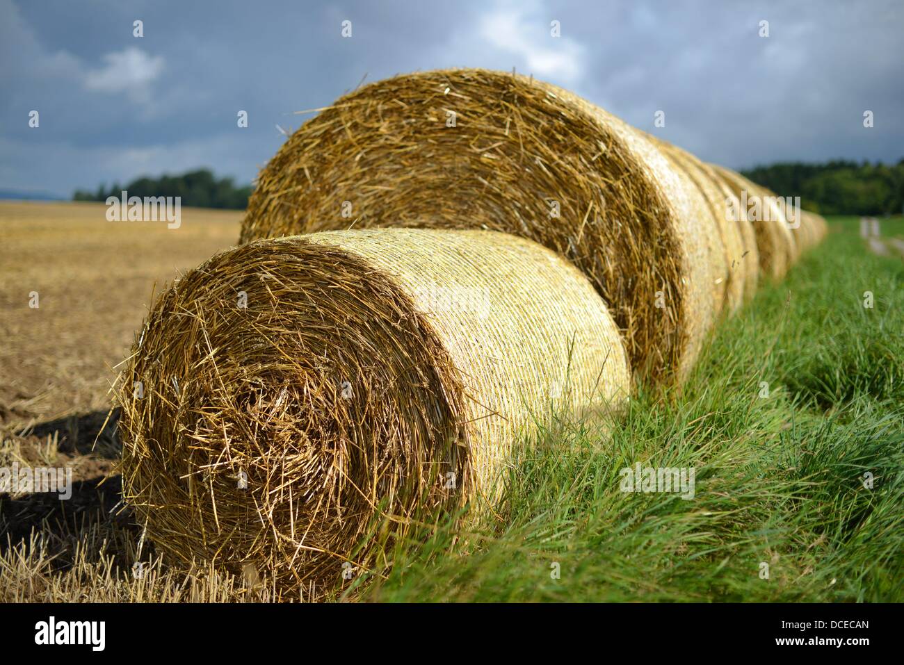 Bales of straw laying on a field in Germany. Photo: Frank May Stock ...