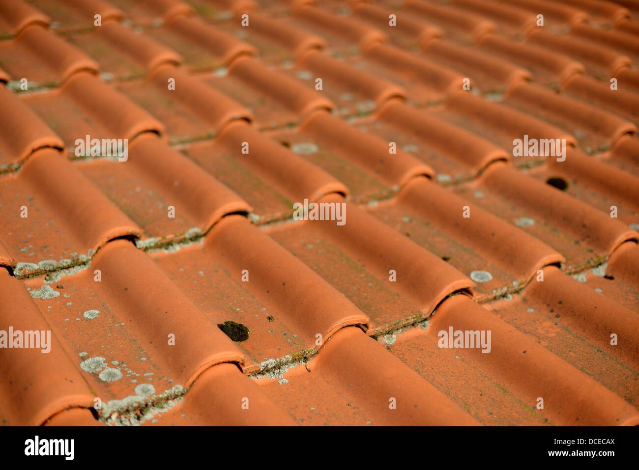 Roofing tile on a house in Germany. Photo: Frank May Stock Photo - Alamy