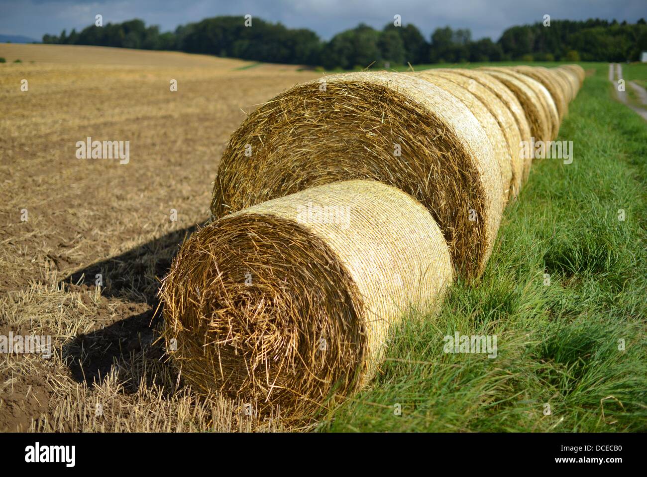 Bales of straw laying on a field in Germany. Photo: Frank May Stock ...