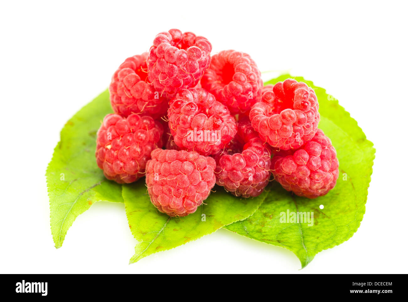 ripe red raspberry on green laeves isolated on white background Stock ...