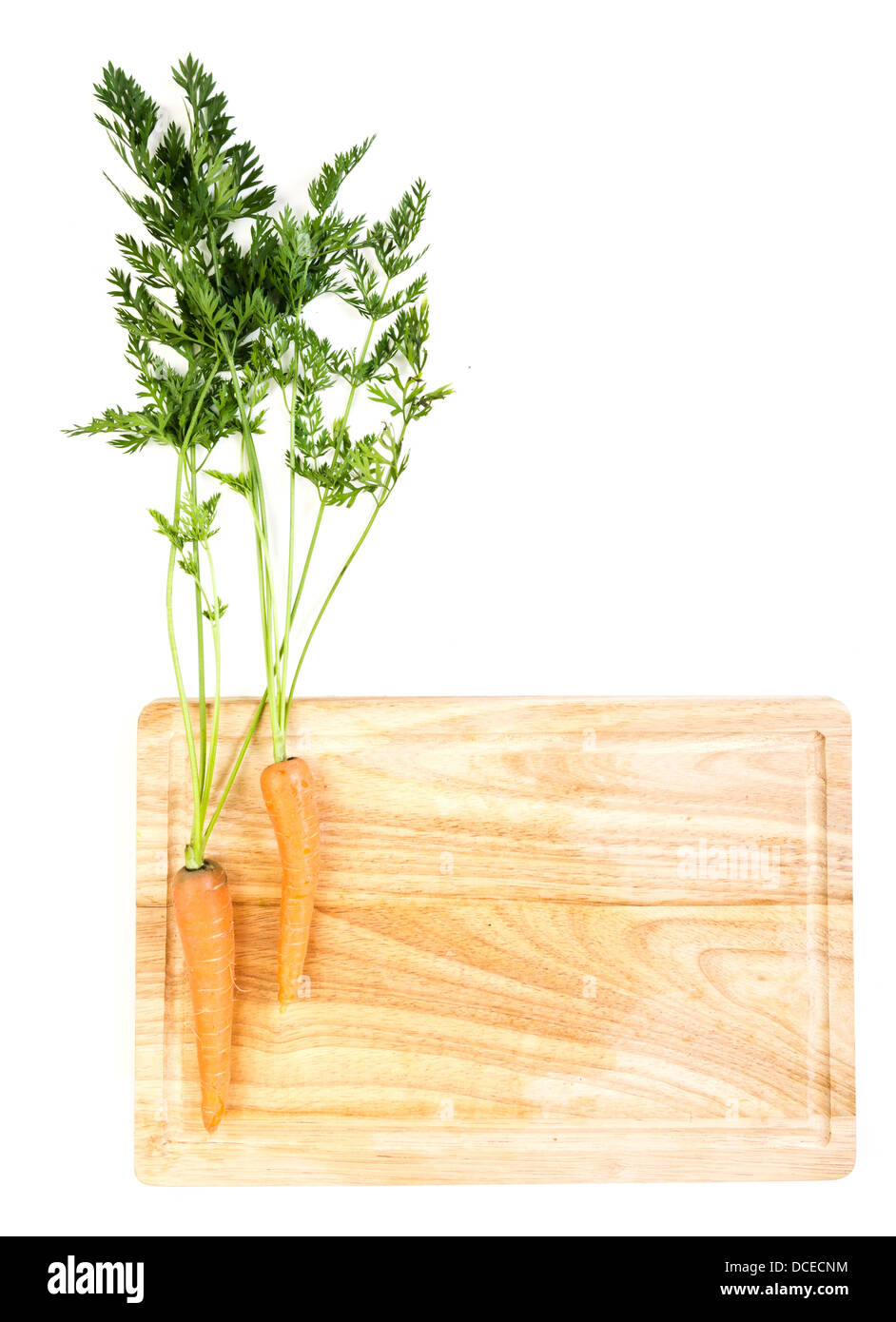 Board roots Cut Out Stock Images & Pictures - Alamy