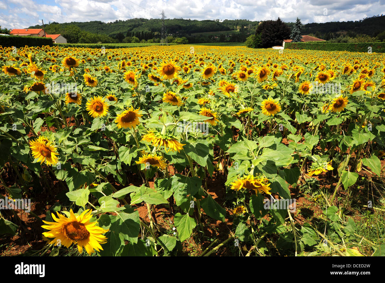 Prayssac france hi-res stock photography and images - Alamy