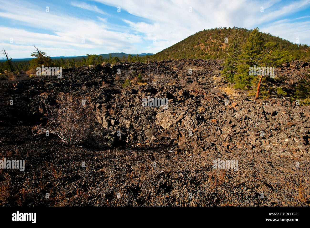 USA, New Mexico, Ice Cave and Bandera Volcano, Collapsed Lava Tube ...