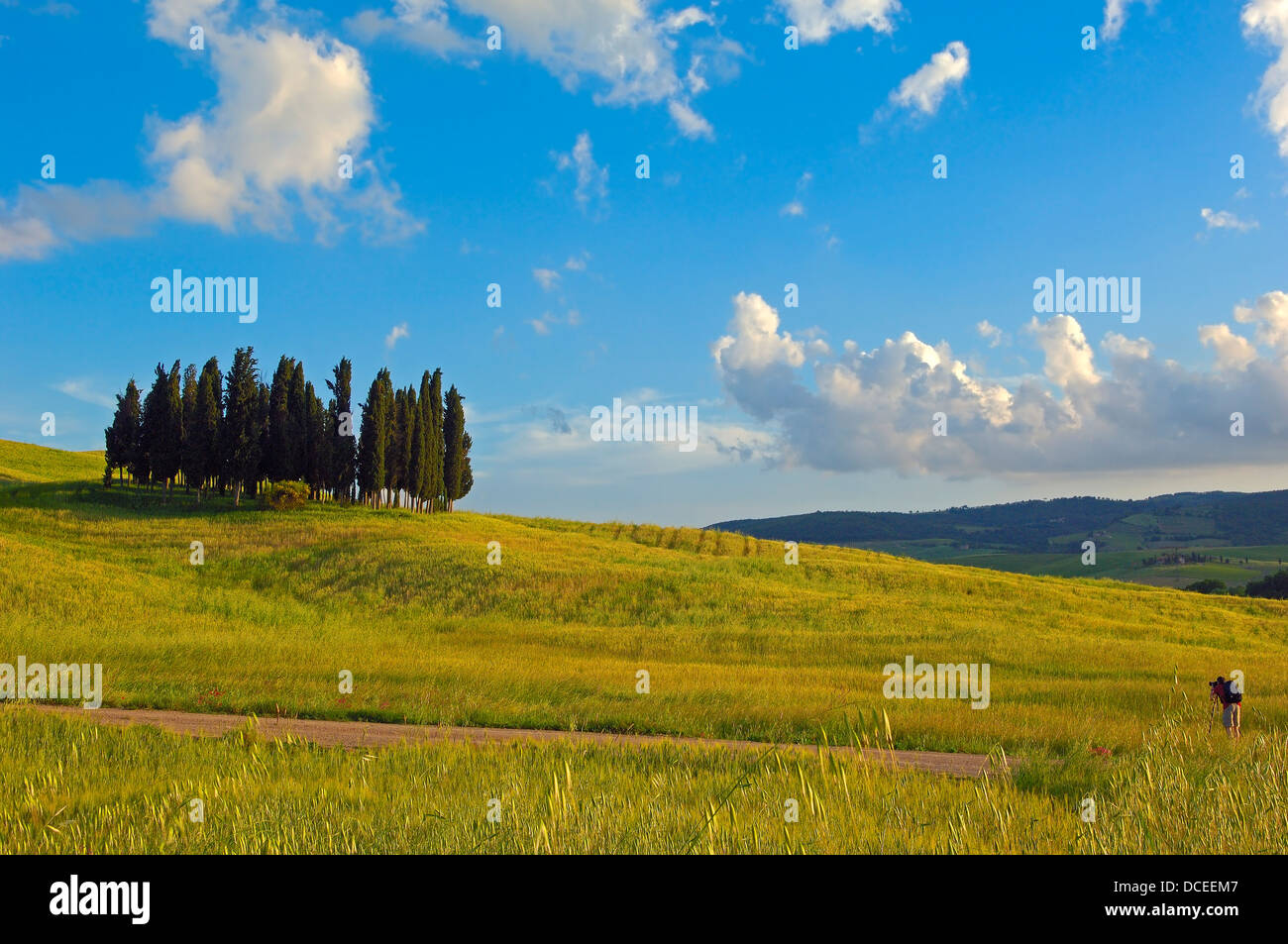 Val d'Orcia, Orcia Valley, UNESCO World Heritage Site, Cypress trees ...