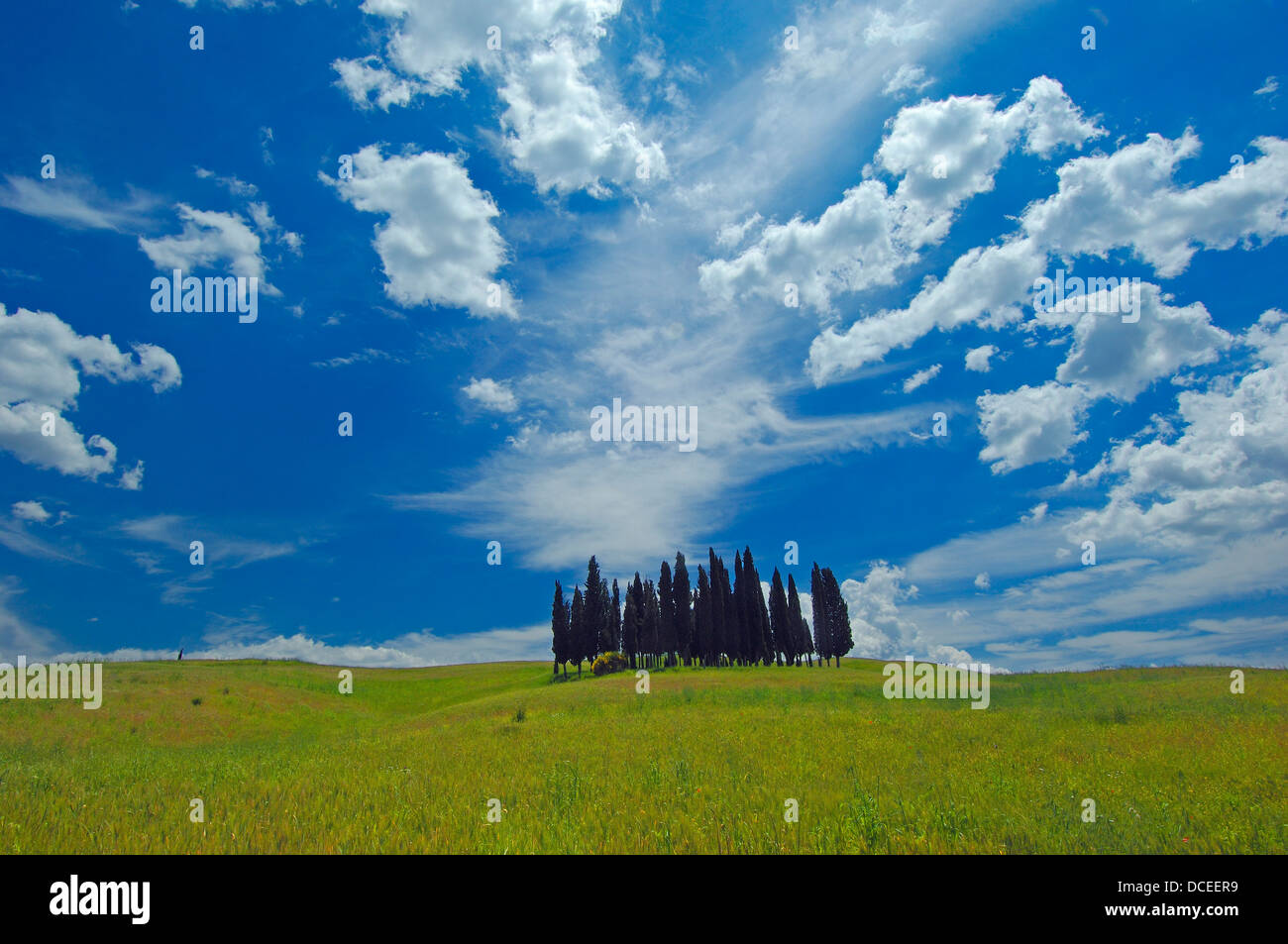 Val d'Orcia, Orcia Valley, UNESCO World Heritage Site, Cypress trees ...