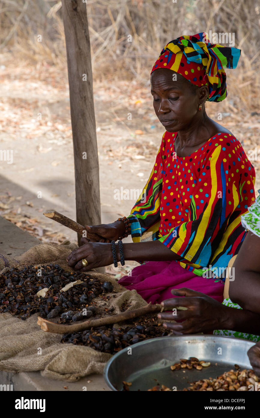 Senegal cashew nuts hi-res stock photography and images - Alamy