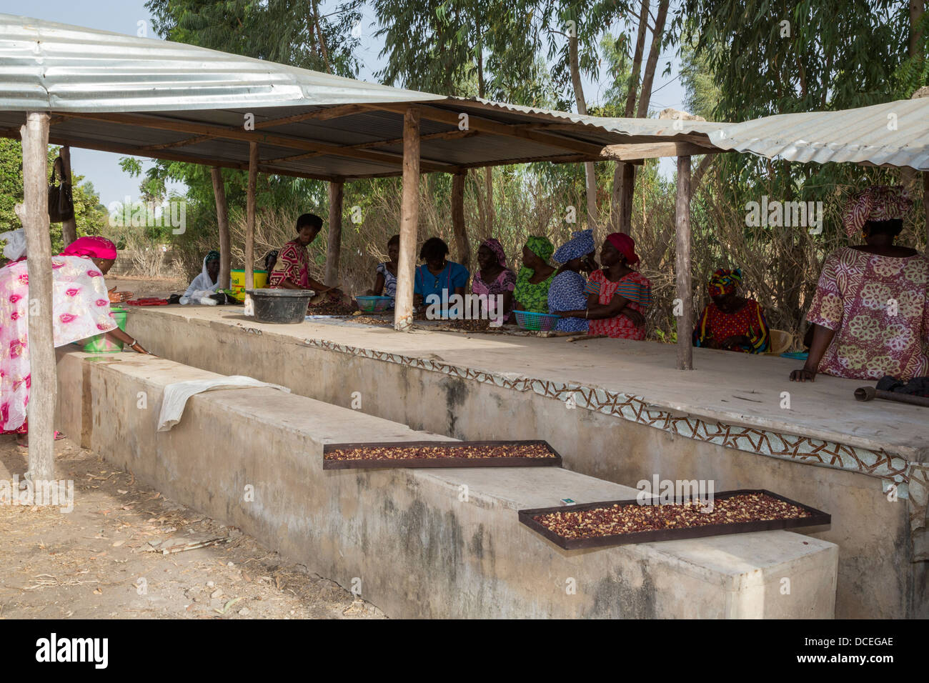 Senegal cashew nuts hi-res stock photography and images - Alamy