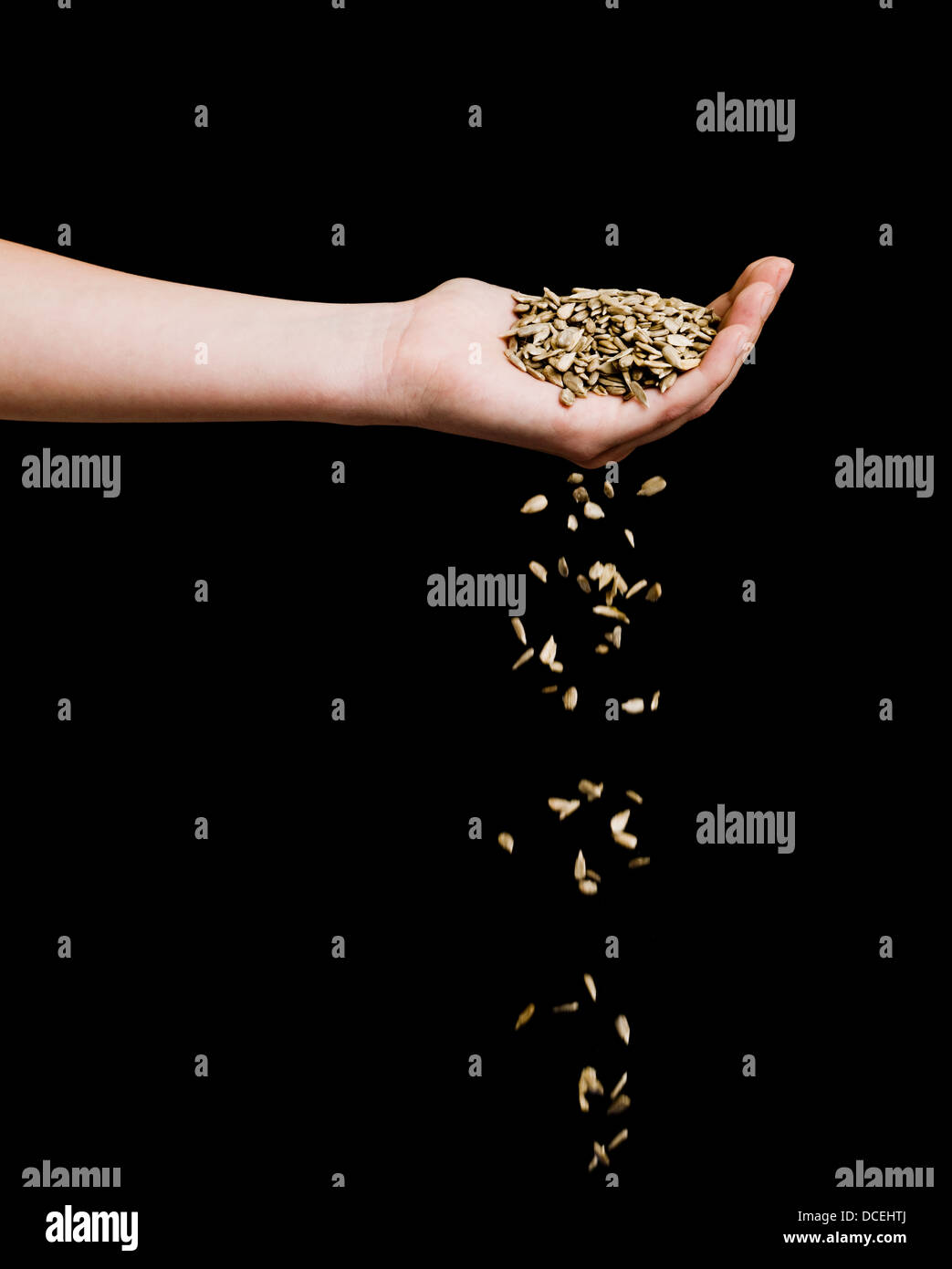 Falling barley grain hi-res stock photography and images - Alamy
