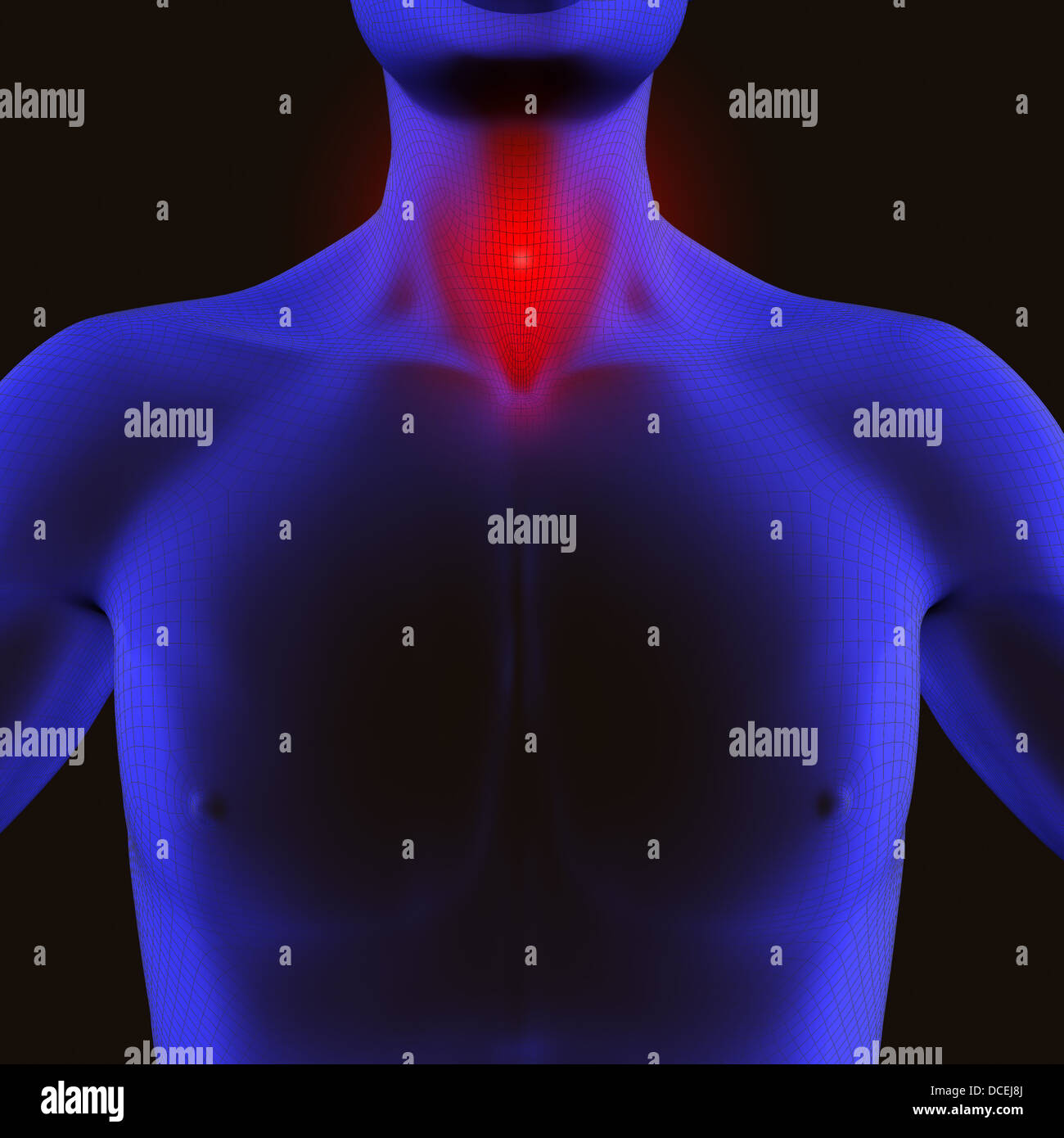 Pharynx hi-res stock photography and images - Alamy