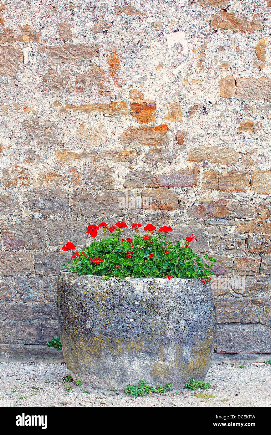 The historic stone pot with flowers Stock Photo - Alamy