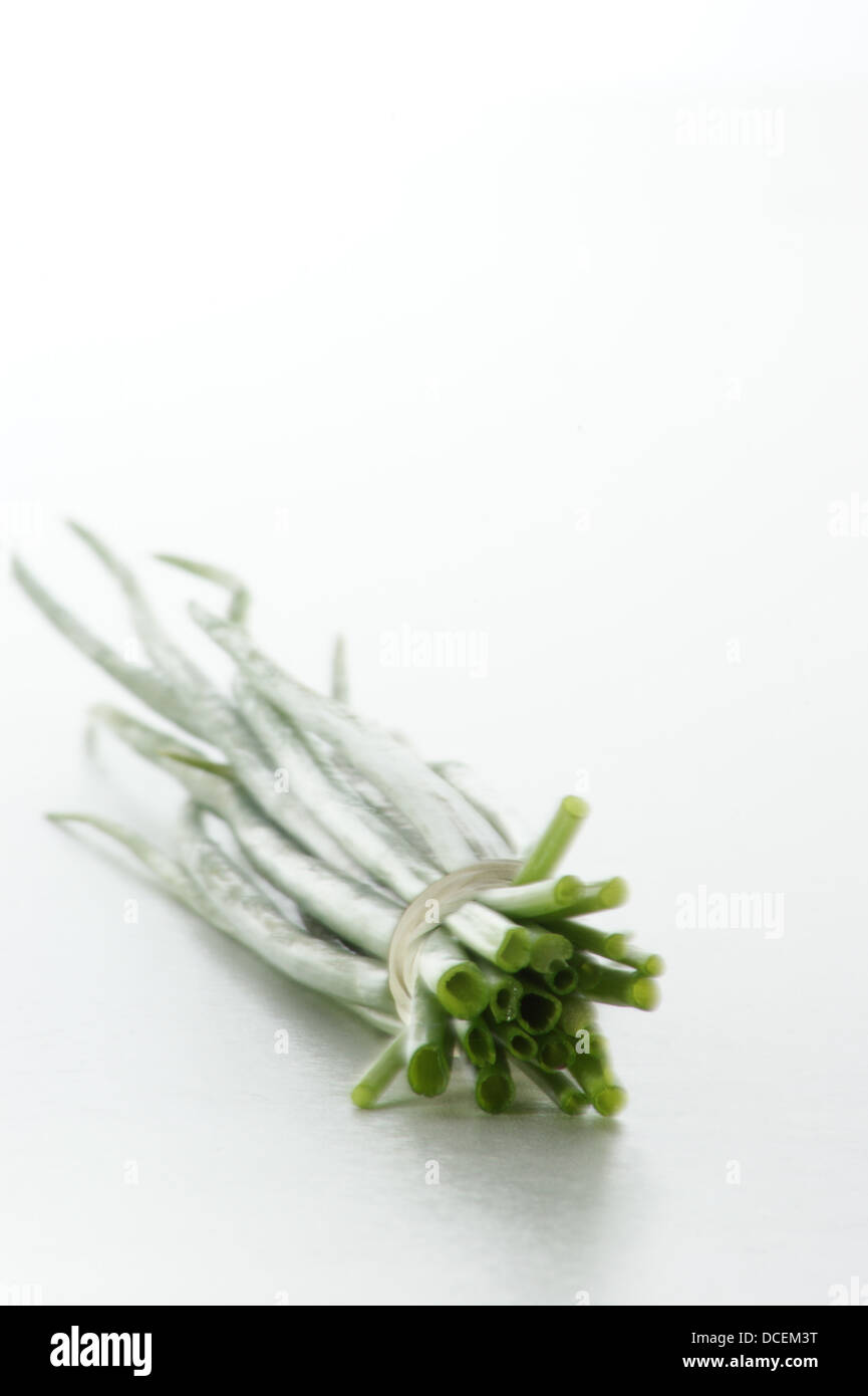 some organic chives fresh from the garden Stock Photo - Alamy