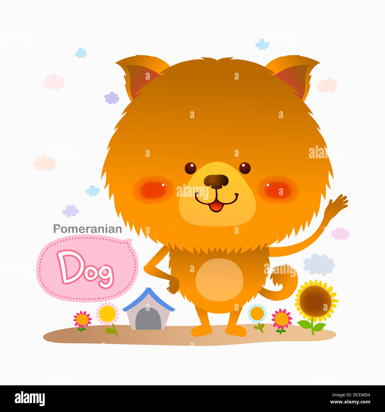 Pomeranian dog in front Cut Out Stock Images & Pictures - Alamy