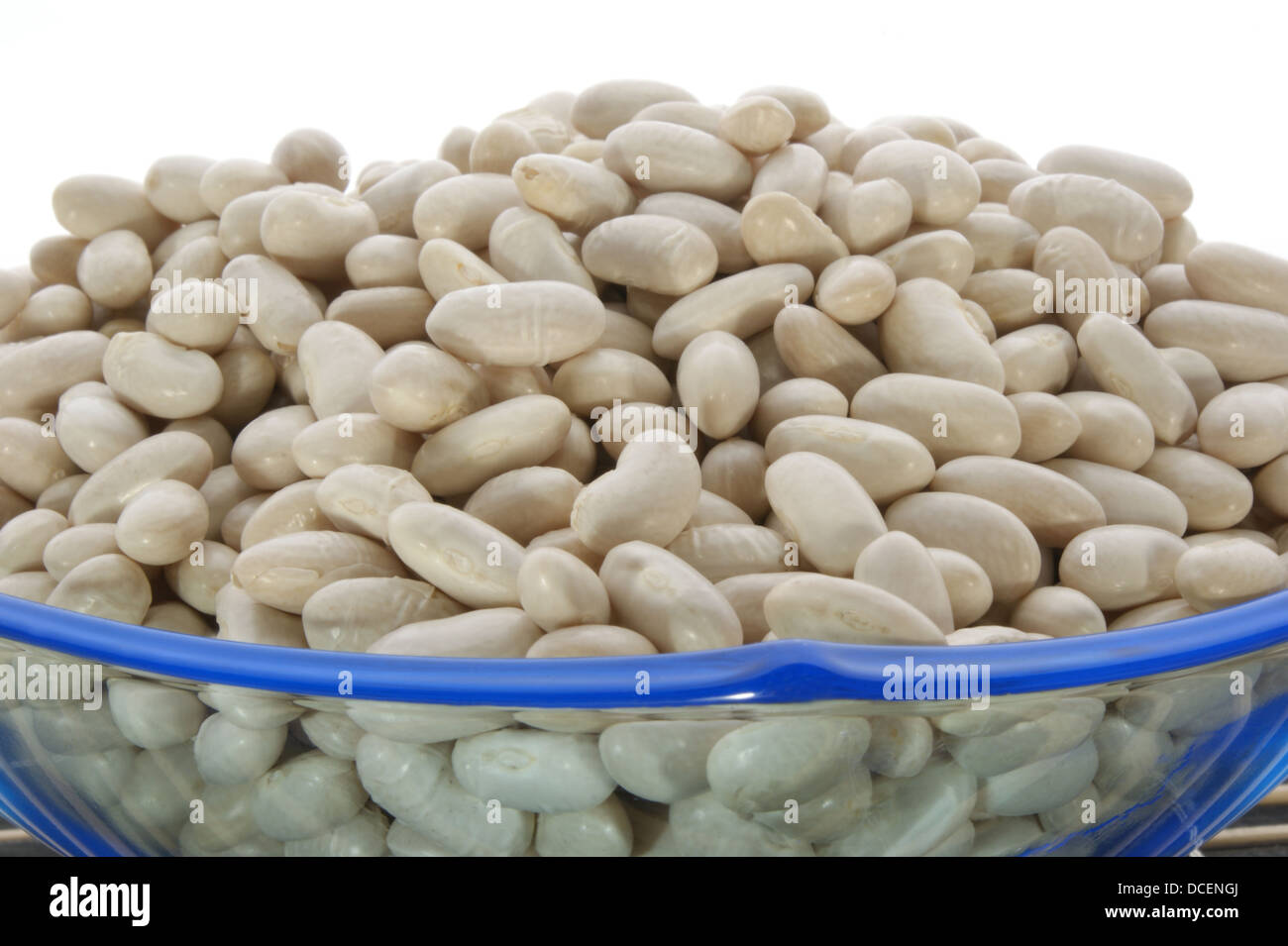 Bush Bean High Resolution Stock Photography and Images - Alamy