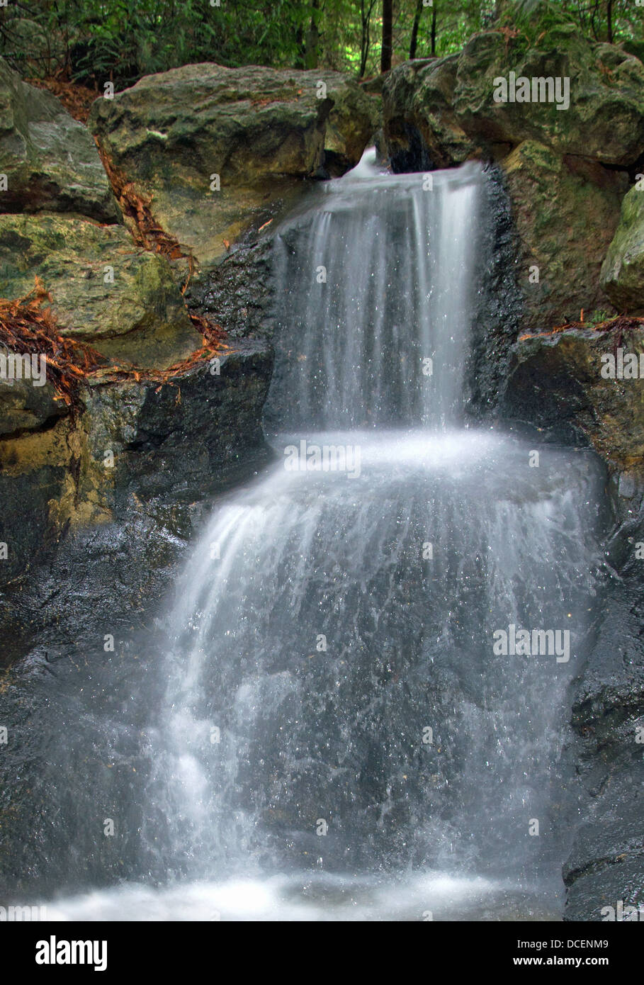 Woodland waterfall amongst rocks and autumn leaves with lighting effect ...