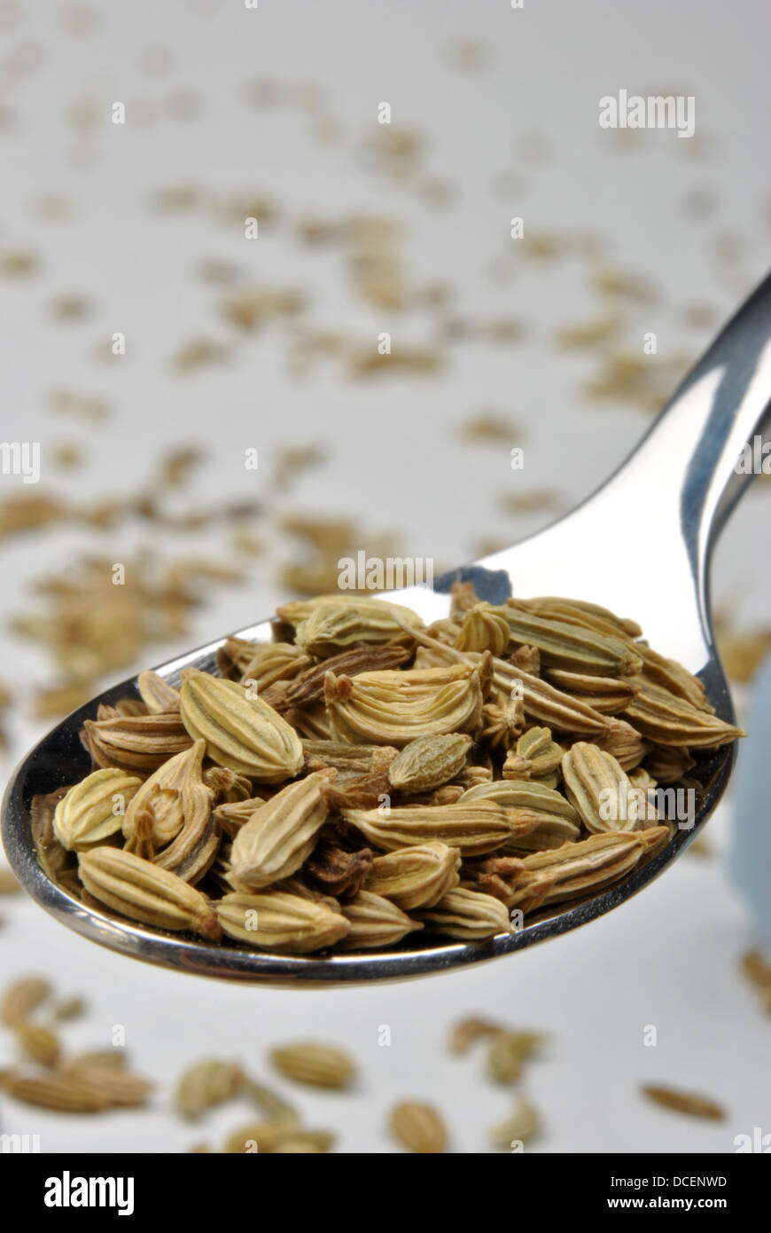 whole organic cardamom can be used with basmati rice Stock Photo - Alamy