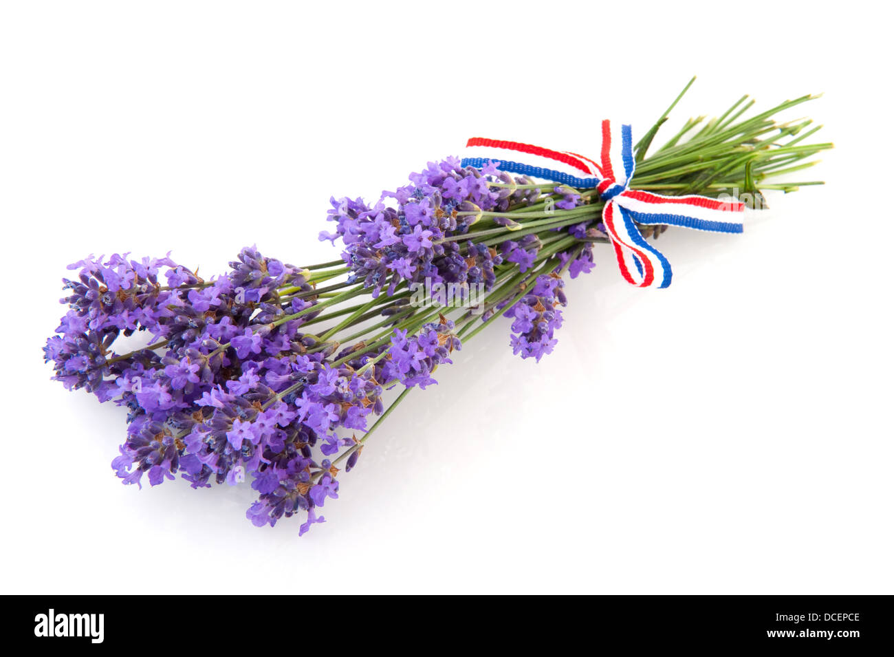 Lavender ribbon hi-res stock photography and images - Alamy
