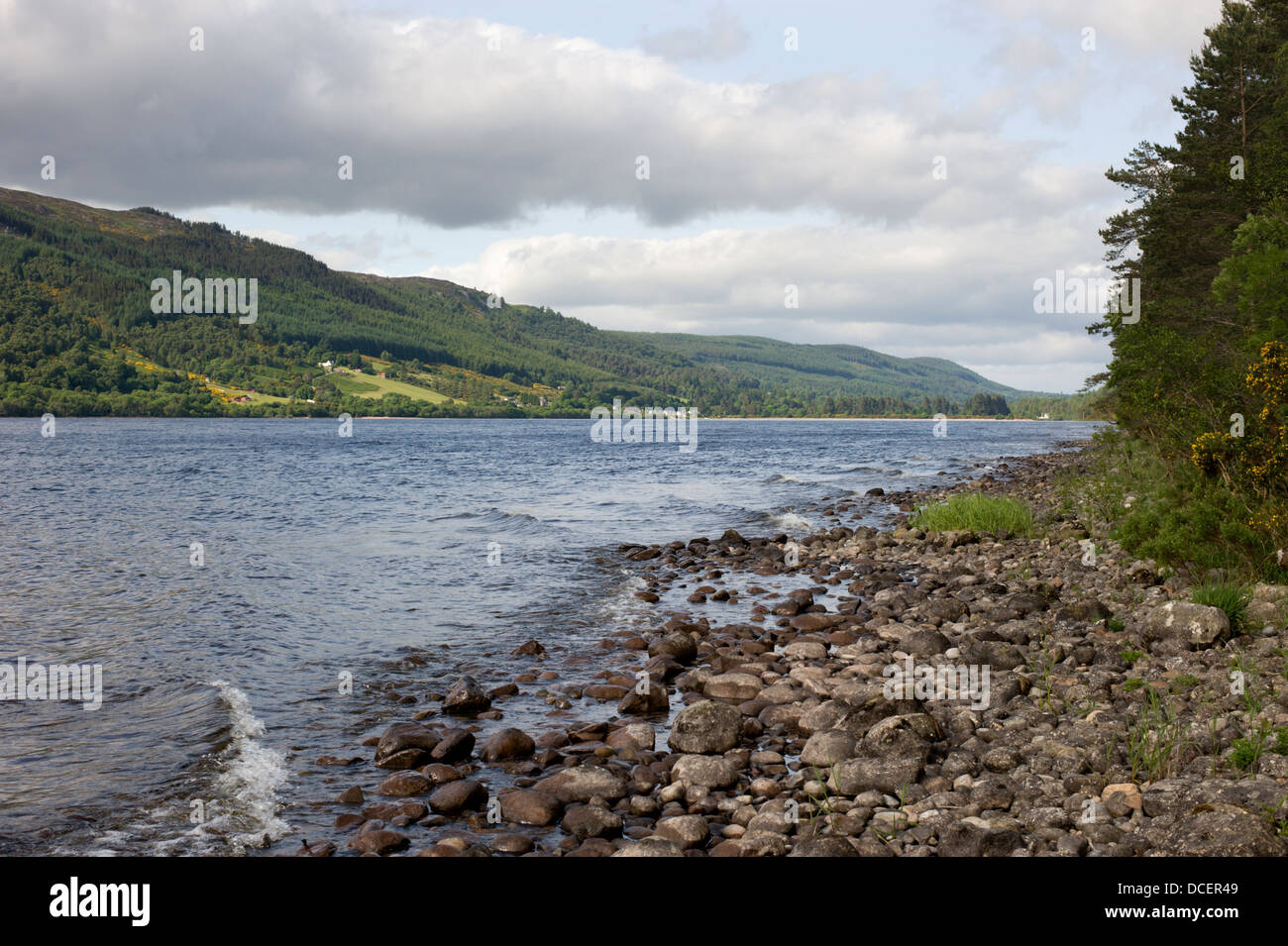 Loch Ness looking towards Lochend and woodland on the far shore from ...