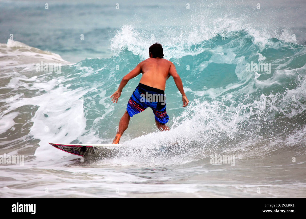 Surfer in ocean Stock Photo - Alamy