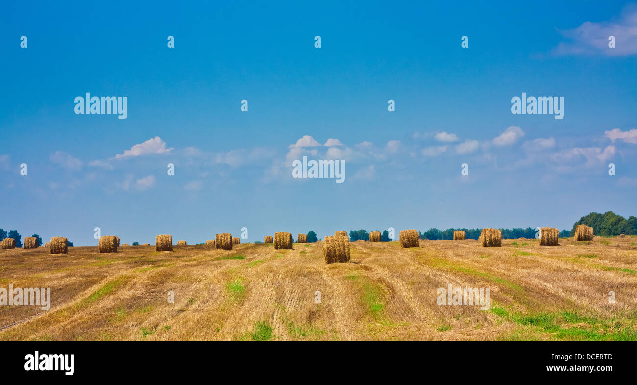 Golden hay bales hi-res stock photography and images - Alamy