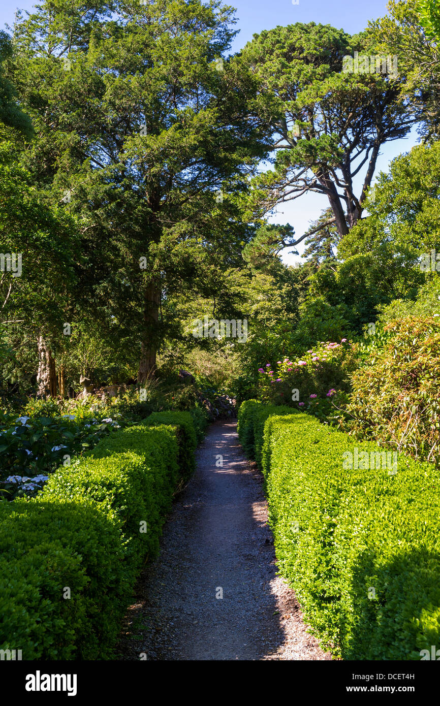 Pathway hedges hi-res stock photography and images - Alamy