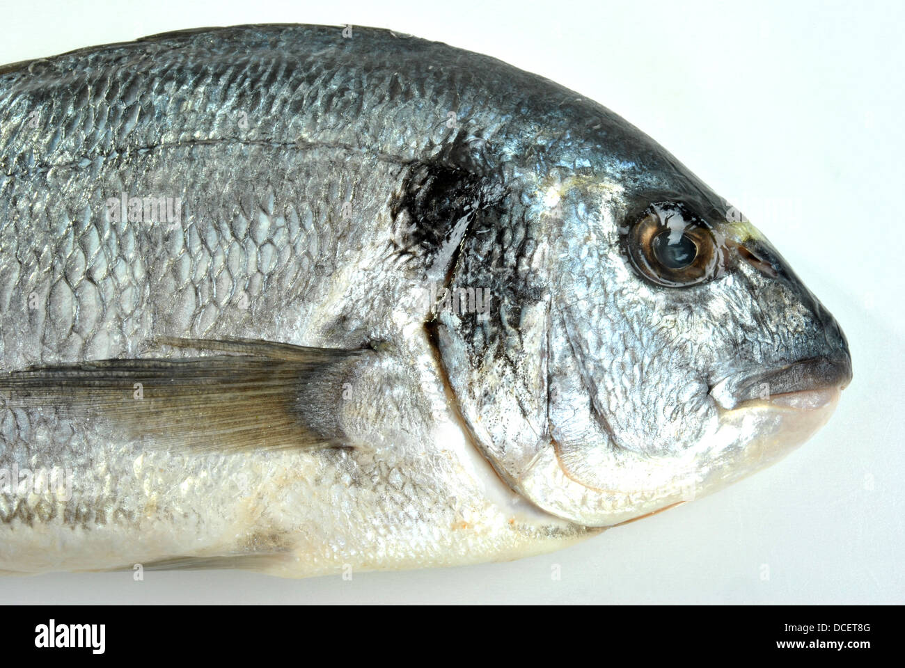 sea bream from greece at preparation before cooking Stock Photo - Alamy