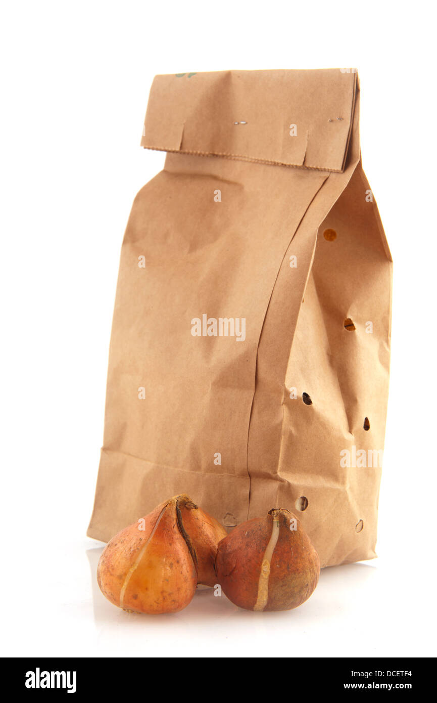 Paper bag with flower bulbs Stock Photo - Alamy