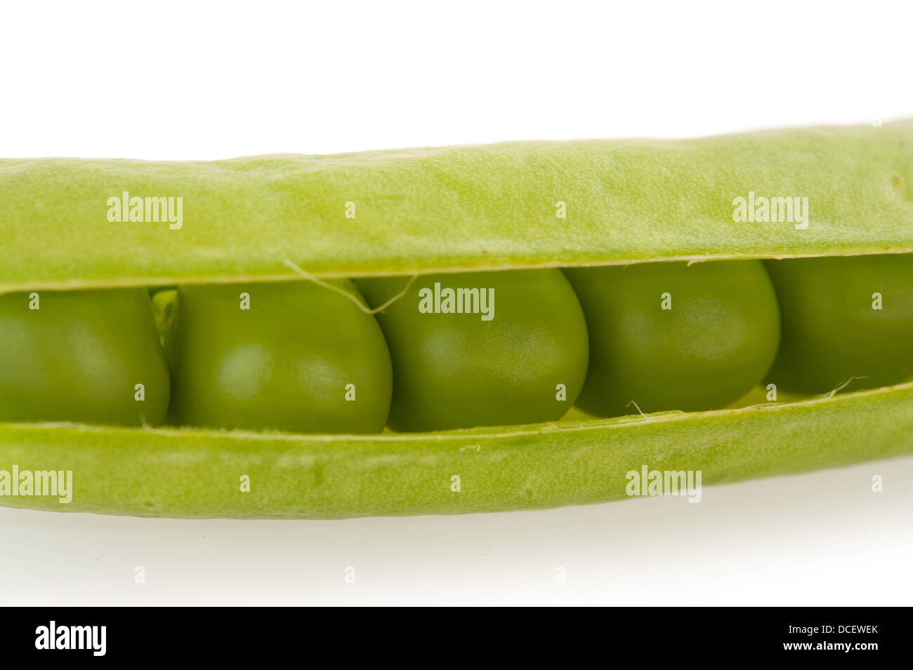 One single bean hi-res stock photography and images - Alamy