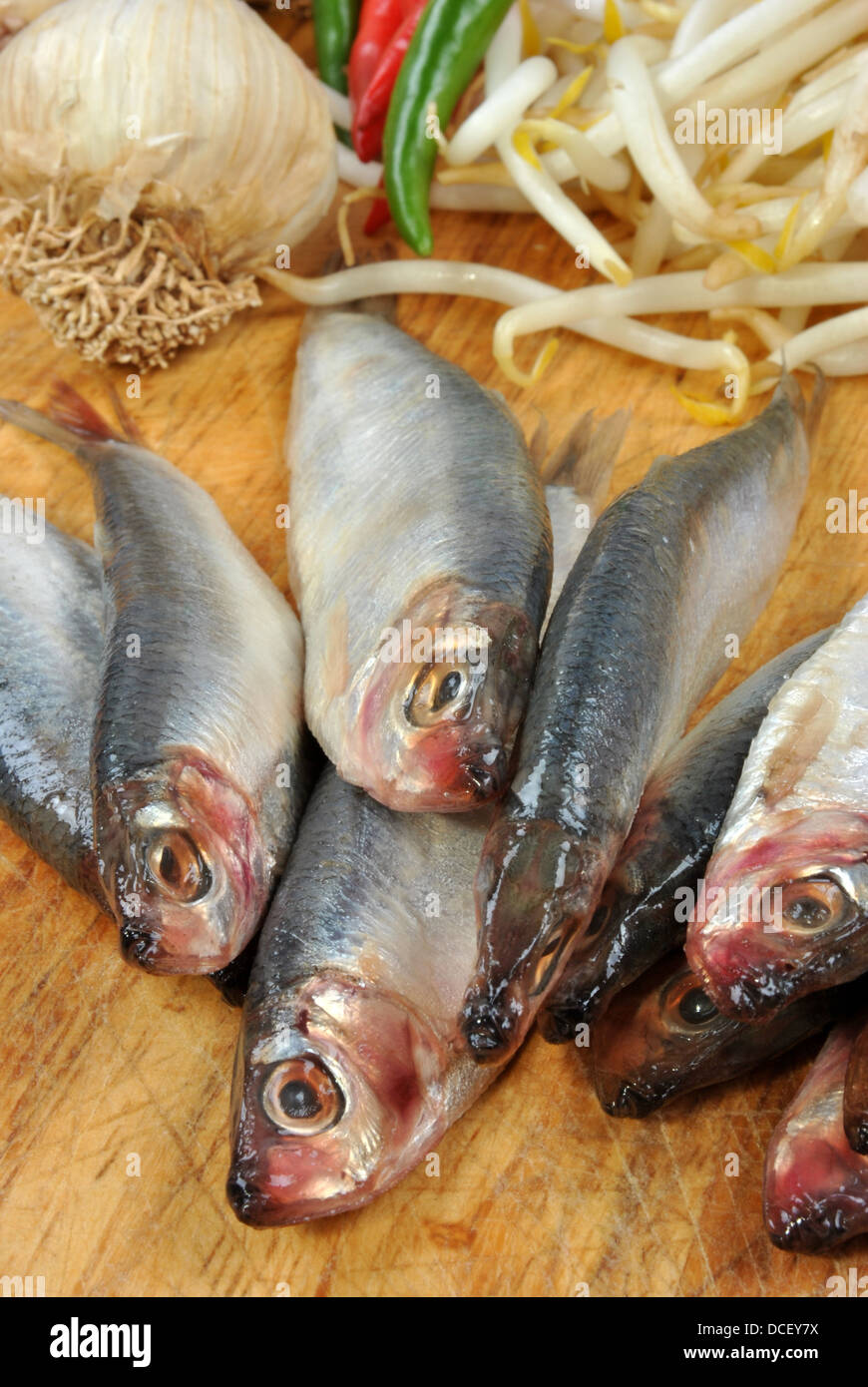 Fresh sprats fish hi-res stock photography and images - Alamy